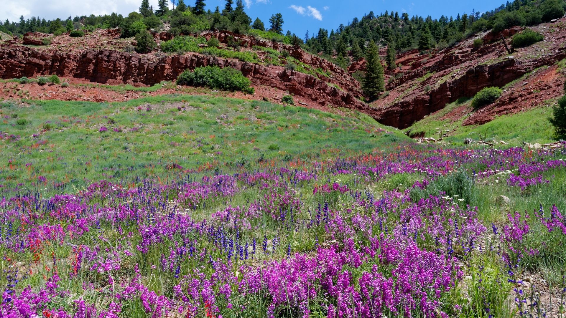 San Juan Skyway: Colorado's Alpine Loop through the Majestic San Juan ...