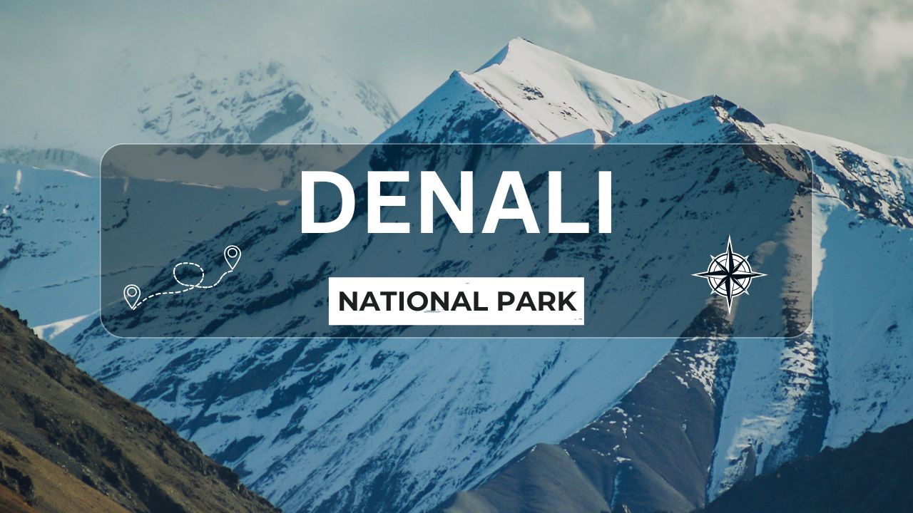 Wilderness and Wonder: An Extended Journey Through Denali National Park ...