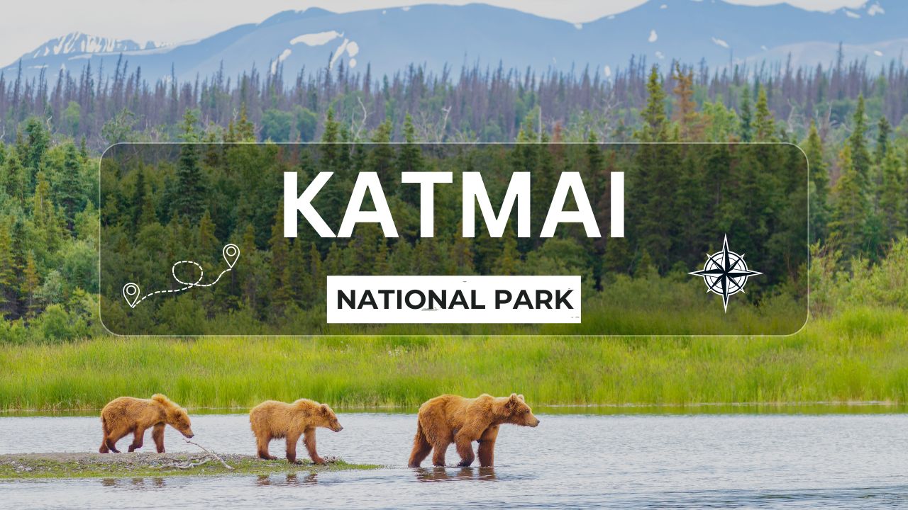 Bears, Volcanoes, and Wilderness: A Three-Day Adventure in Katmai ...